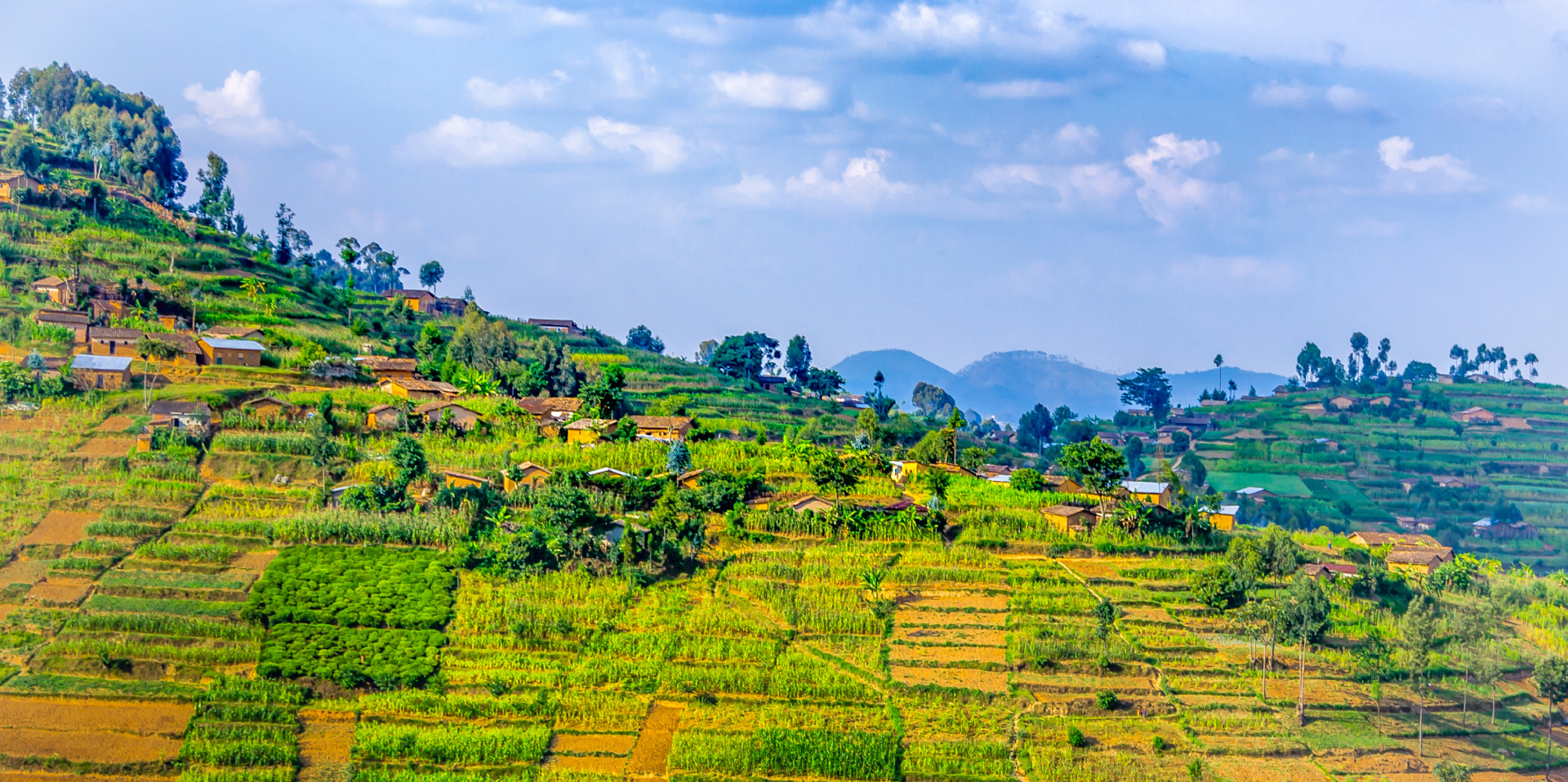 Travel to Rwanda - Discover the originality of nature